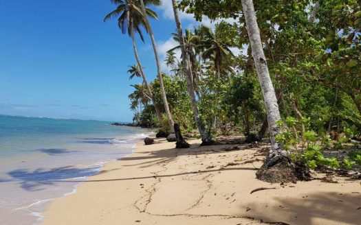 Lotofaga – Samoa Realty Ltd