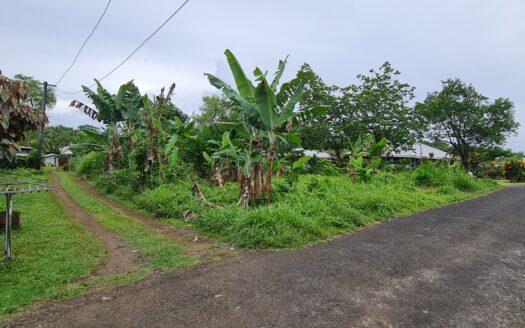 Land – Samoa Realty Ltd